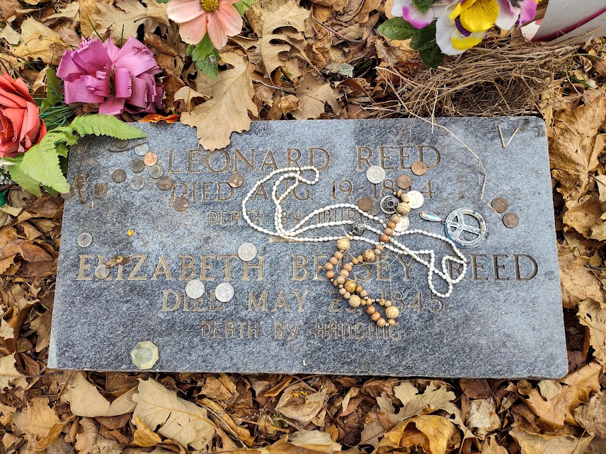 Elizabeth "Betsey" Reed: The First and Only Woman Hanged in Illinois ...